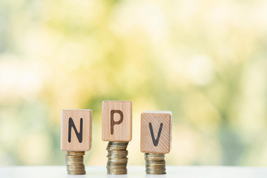An Overview of NPV in Project Management