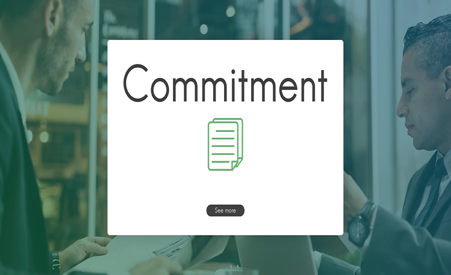 Effective Project Management with a High-Performing Steering Committee