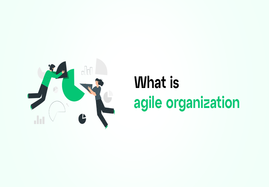 Agile Organization: Characteristics and Key Elements