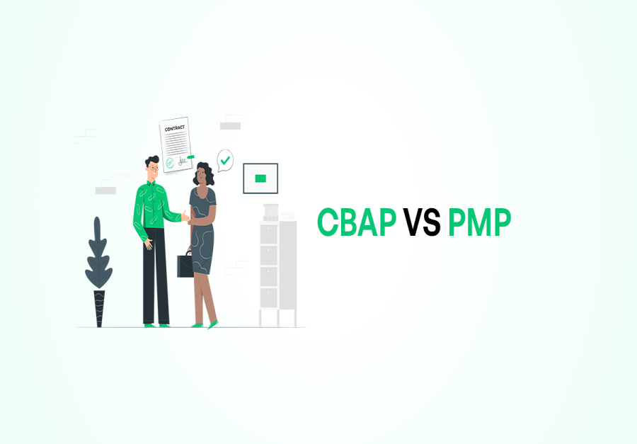 PMP vs CBAP: Which Certification Fits You?