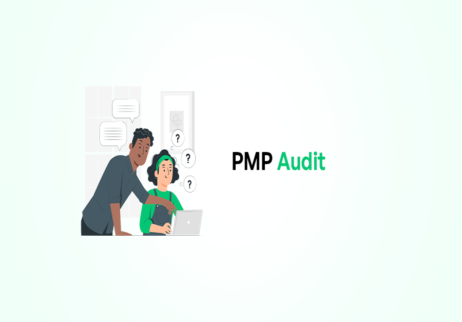 Complete PMP Audit Guide - Tips for Successful Compliance
